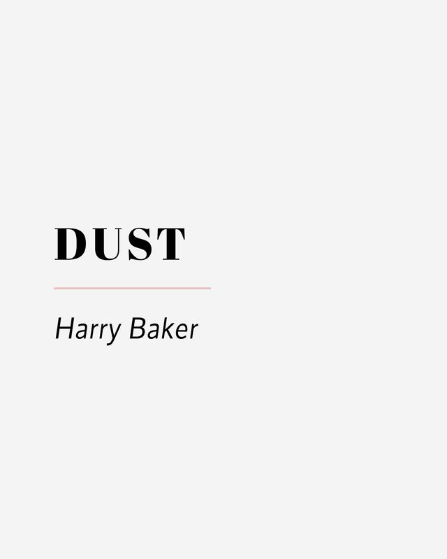 Dust by Harry Baker Spoken Word Wedding Poem